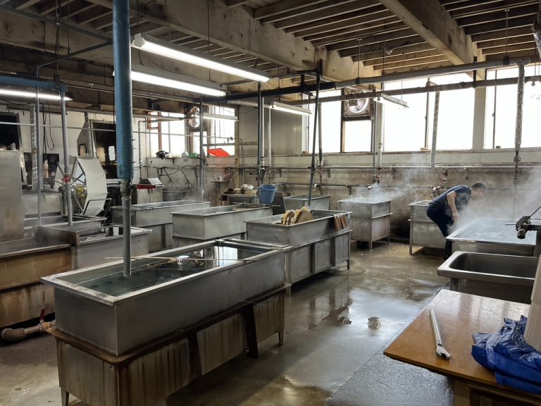 ArgoKnot | A journal of my weaving, spinning, and knitting life | Page 2